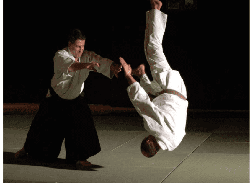 STAGE AÏKIDO YOSHINKAN à SAVERNE LES 17 & 18 FÉVRIER 2024. – Fédération ...